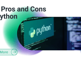 Pros And Cons Of Python In 2026 Advantages And Disadvantages
