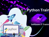 Python Training Course In Kochi Softloom It Training