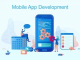 How To Become A Mobile App Developer Softloom It Training