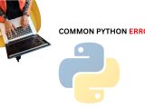 Common Python Errors 1 Softloom