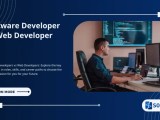 Software Developer Vs Web Developer 7 Actual Differences