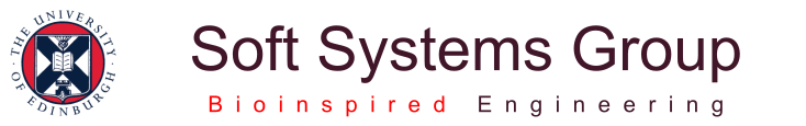SoftSystemsGroupLogo | Soft Systems Group