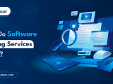 How Do Software Testing Services Work Iquasar Software