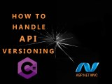 How To Handle Api Breaking Changes Software Particles