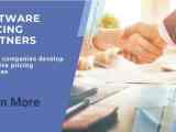 Software Pricing Partners Pricing Strategies Solutions
