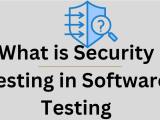 What Is Security Testing In Software Testing Software Testing Pro