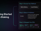 What Is Staking Solana