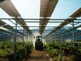 Dynamic Agrivoltaic System Solar Impulse Efficient Solution