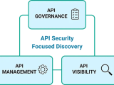 Api Security Assessment Solsys