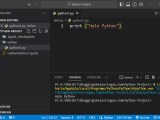 Menyiapkan Lingkungan Pengembangan Ide Untuk Pemrograman Python