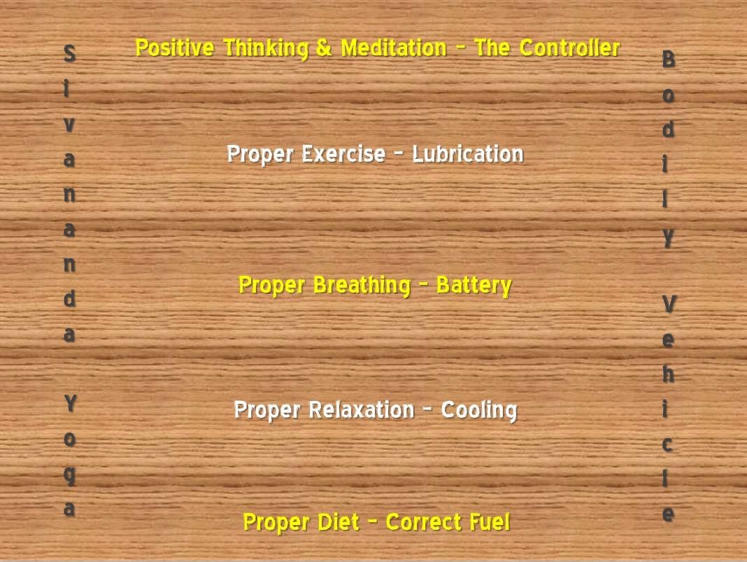 The Five Principles Of Sivananda Yoga | SomDhara