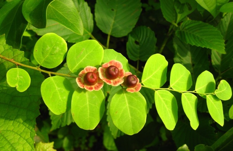 The Isles of Zanzibar | Travel, Life & People