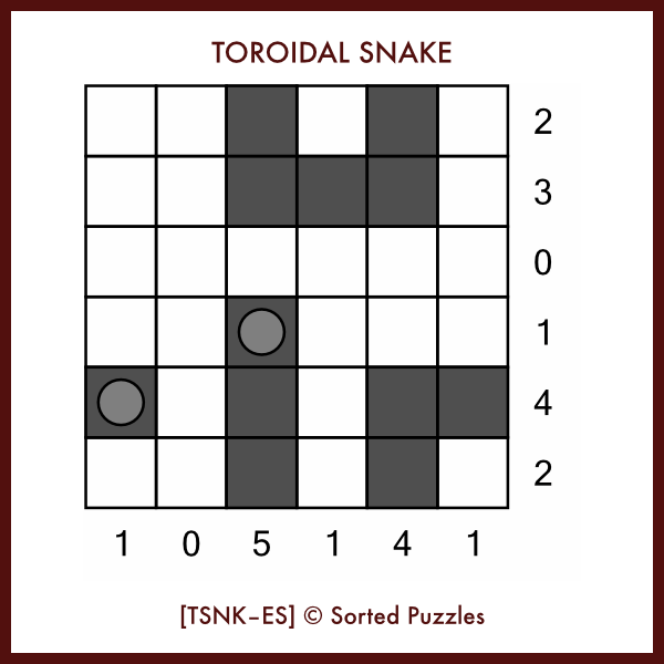 Toroidal Snake [TSNK-4-004P] - Sorted Puzzles