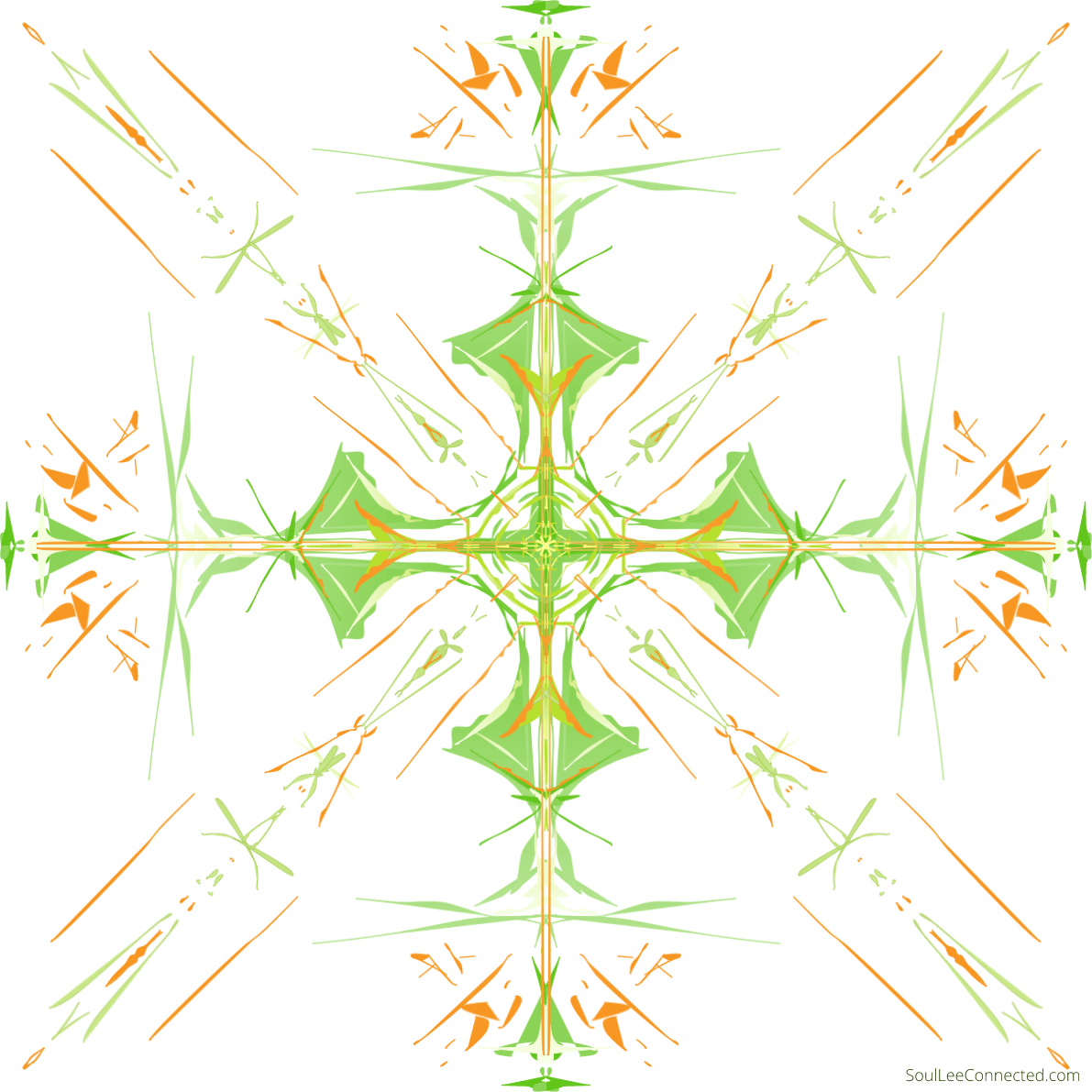 Specific Purpose – SoulLee Connected