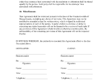 Software Development Agreement 3