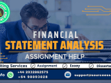 Financial Statement Analysis Assignment Help Write My Essay For Me