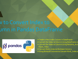 Pandas Convert Index To Column In Dataframe Spark By Examples