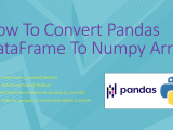 Convert Pandas Dataframe To Numpy Array Spark By Examples