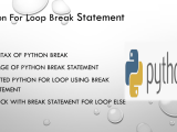 Python For Loop Break Statement Spark By Examples
