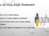 Python For Loop Break Statement Spark By Examples