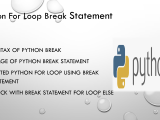 Python For Loop Break Statement Spark By Examples