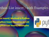 Python List Insert With Examples Spark By Examples