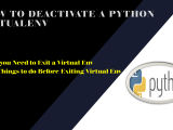 How To Deactivate A Python Virtualenv Spark By Examples