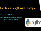 Python Tuple Length With Example Spark By Examples