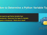 How To Determine A Python Variable Type Spark By Examples