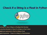 Check If A String Is A Float In Python Spark By Examples