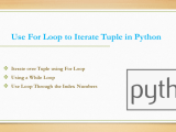 Use For Loop To Iterate Tuple In Python Spark By Examples