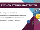 Python String Startswith Spark By Examples