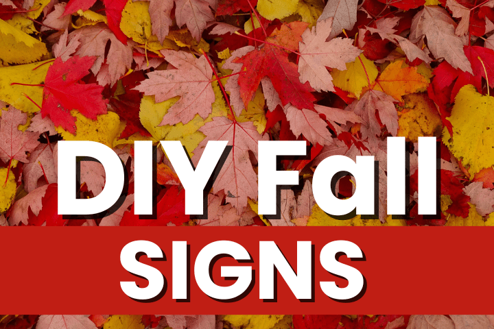 21 Best Fall Signs - Sparkling Boy Ideas