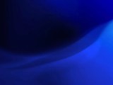 Contact Spectrum Digital