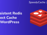 Speedycache Version 1 0 5 Launched Object Cache Speedycache