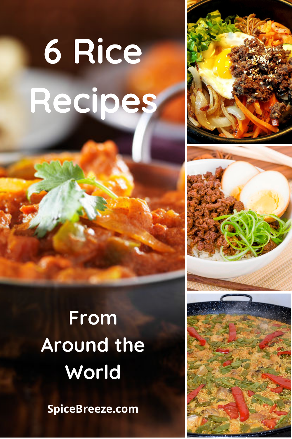 6 Rice Recipes from Around the World | SpiceBreeze