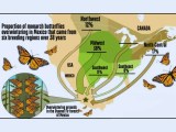 Monarch Butterfly Migration Patterns Routes Tracking Map