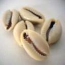 Philippine Places: Sagay City | Spilling my own thunder