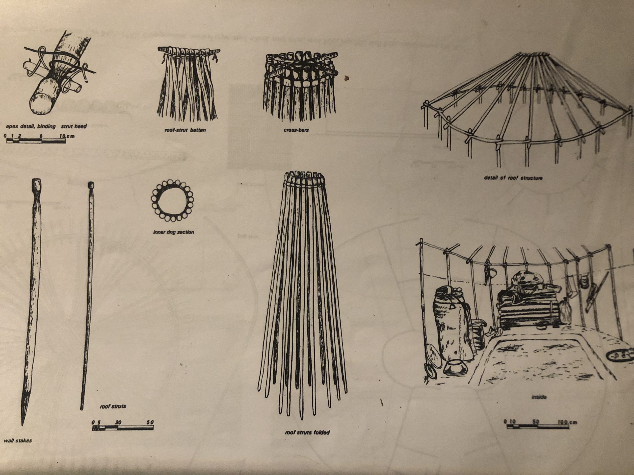 Nomadic Tent Design – The mutant forms | Spirits Intent