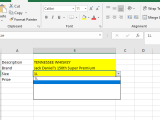 Creating Dynamic Lists In Designer Applications
