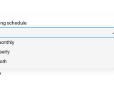 Subscriptions Springbig