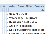 Confidence Intervals For Means In Spss 3 Easy Options