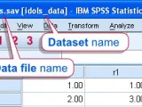 Spss Datasets