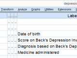Spss Two Way Anova Tutorial Significant Interaction Effect