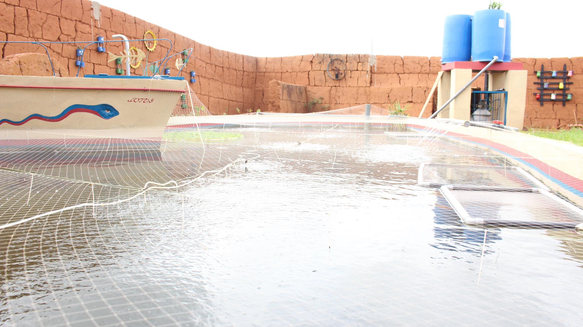 La pisciculture au Madagascar : une réussite ! | Service de Préparation ...