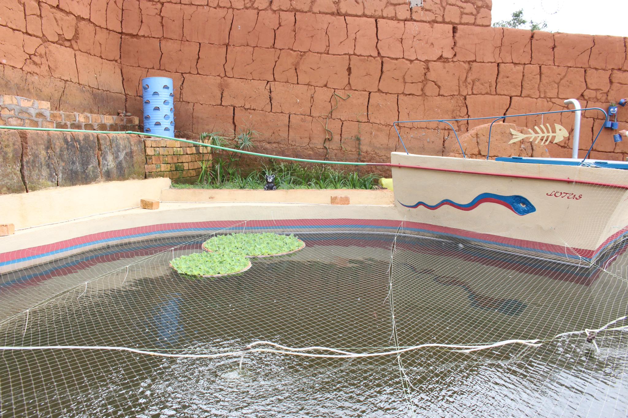 La pisciculture au Madagascar : une réussite ! | Service de Préparation ...