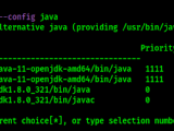 установка Java 8 Openjdk на Kali Linux