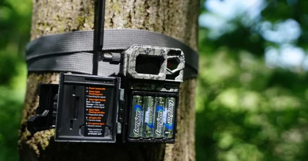 Status lights of Spypoint cameras - SpypointHelp