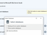 How To Backup Sql Server Databases On Windows Sqlbak Blog
