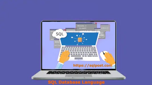 What is Database Language? - SQLPOST Academy